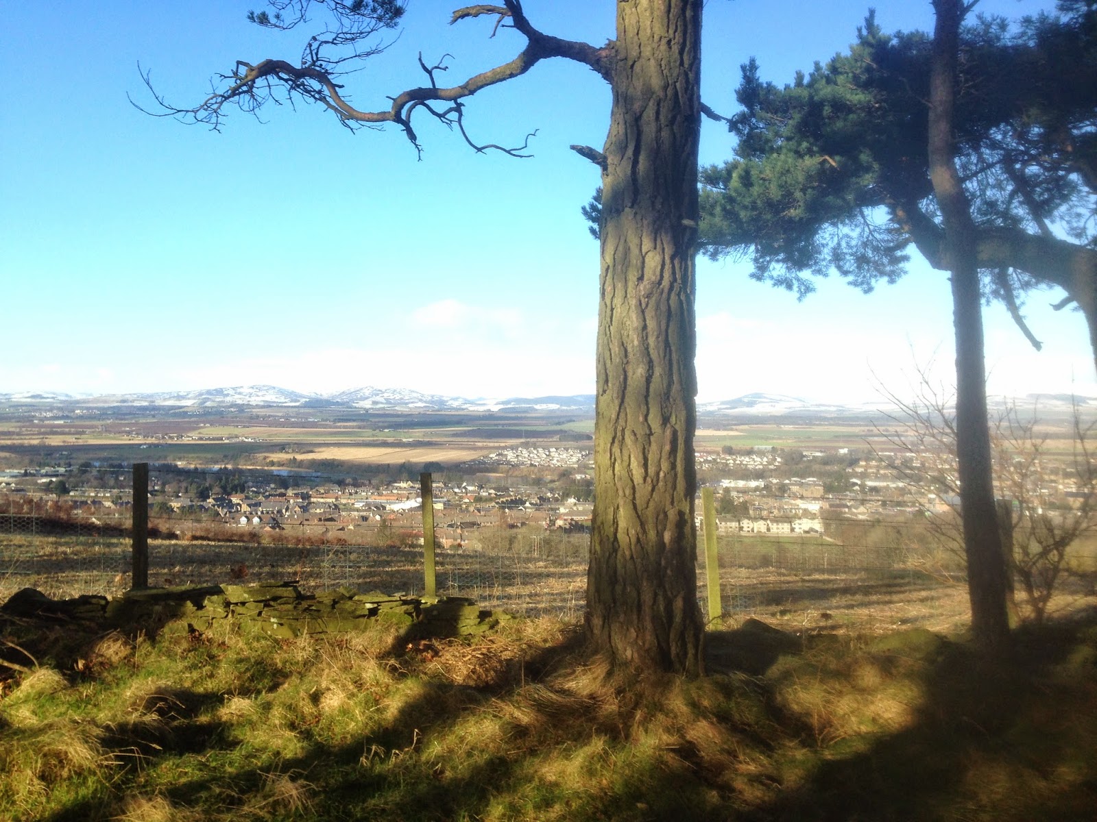 Medal Junkie: Forfar Multi-Terrain Half Marathon 2015