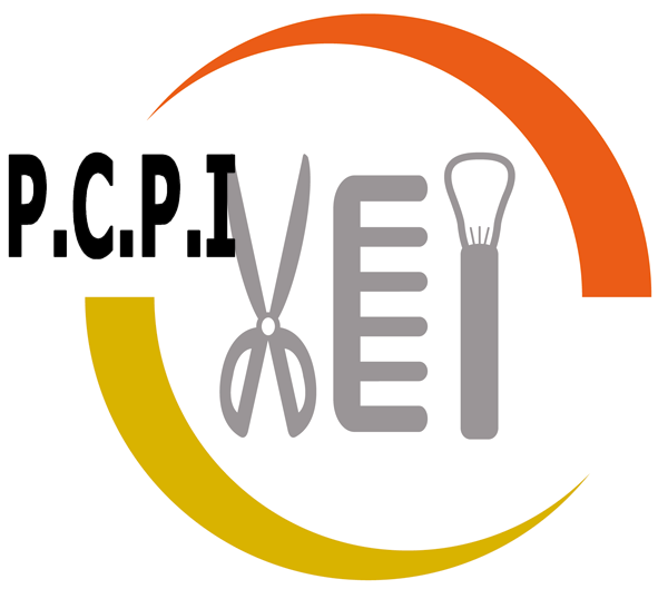 elorientablog: "Adolescentes sin título de ESO y sin retorno". PCPI ...