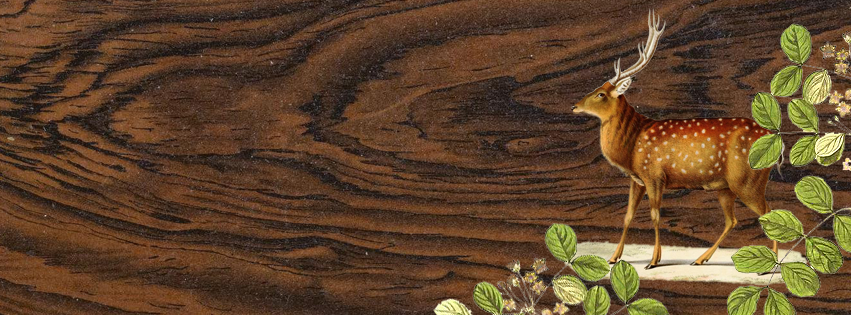 Free, vintage Facebook cover images | How About Orange