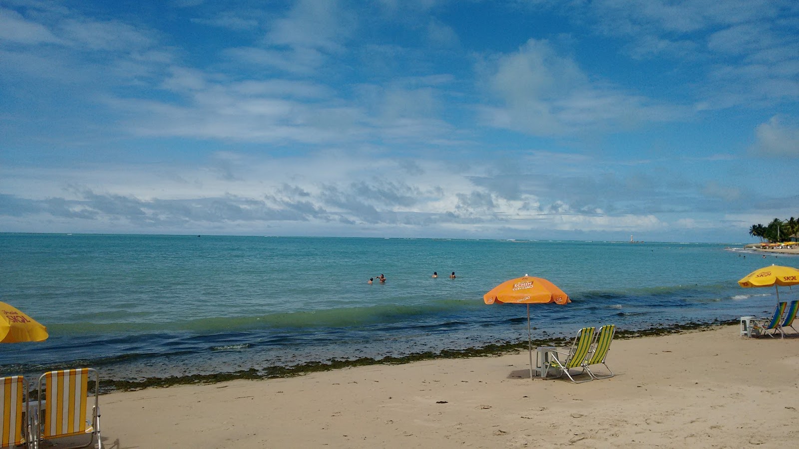 Histórias para Viajar : O lindo mar da Praia de Ponta Verde em Maceió