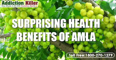 Surprising Health Benefits Of Amla ~ Quit Alcohol | Quit Smoking | Quit ...