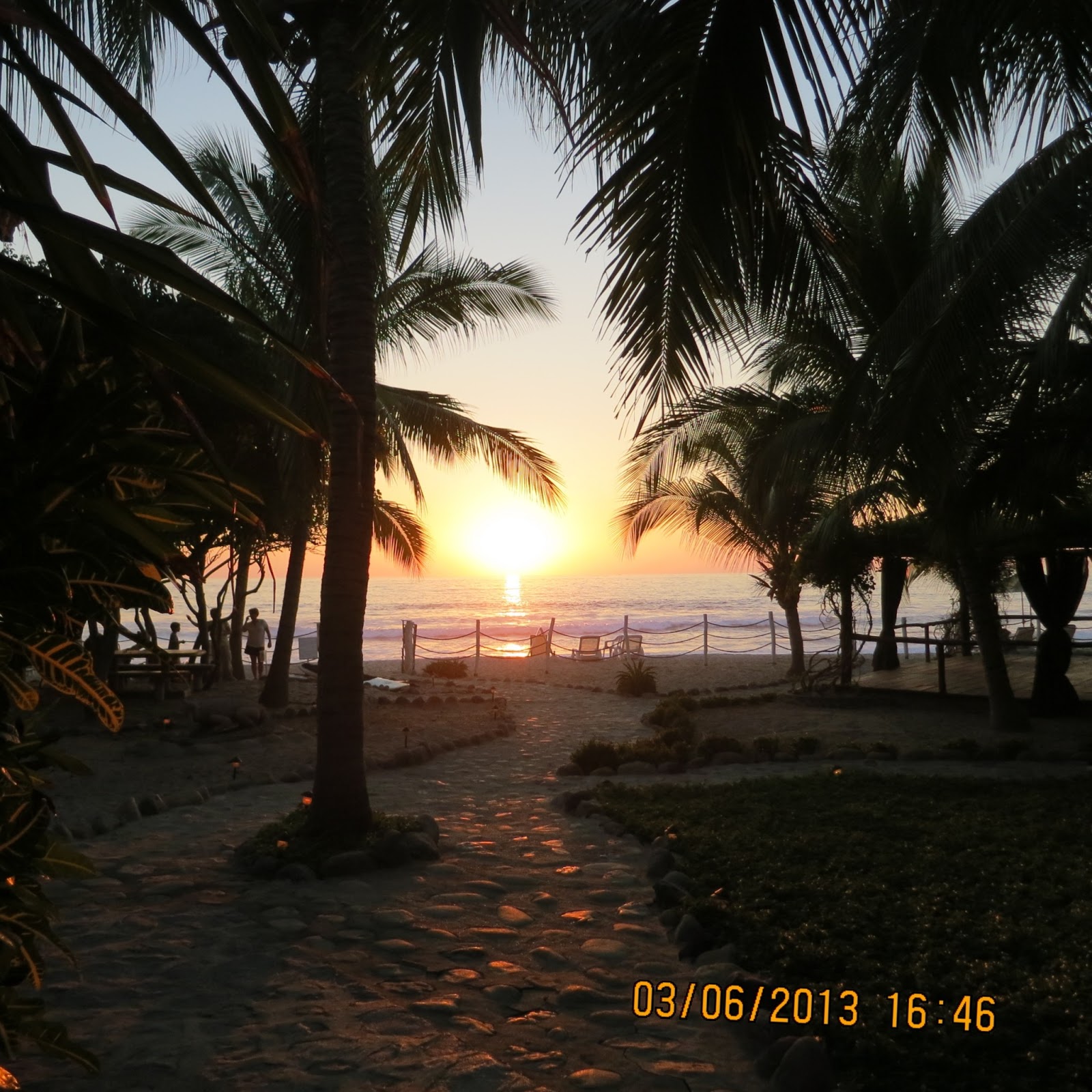 Here we go again......!: At La Playa Troncones, Guerrero, Mx
