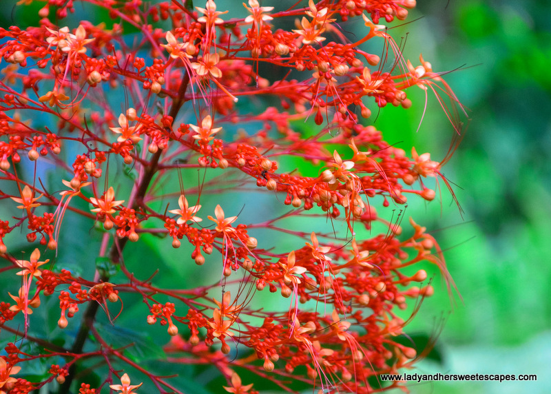20 Photos That Will Make You Feel Seychelles is a Paradise on Earth ...