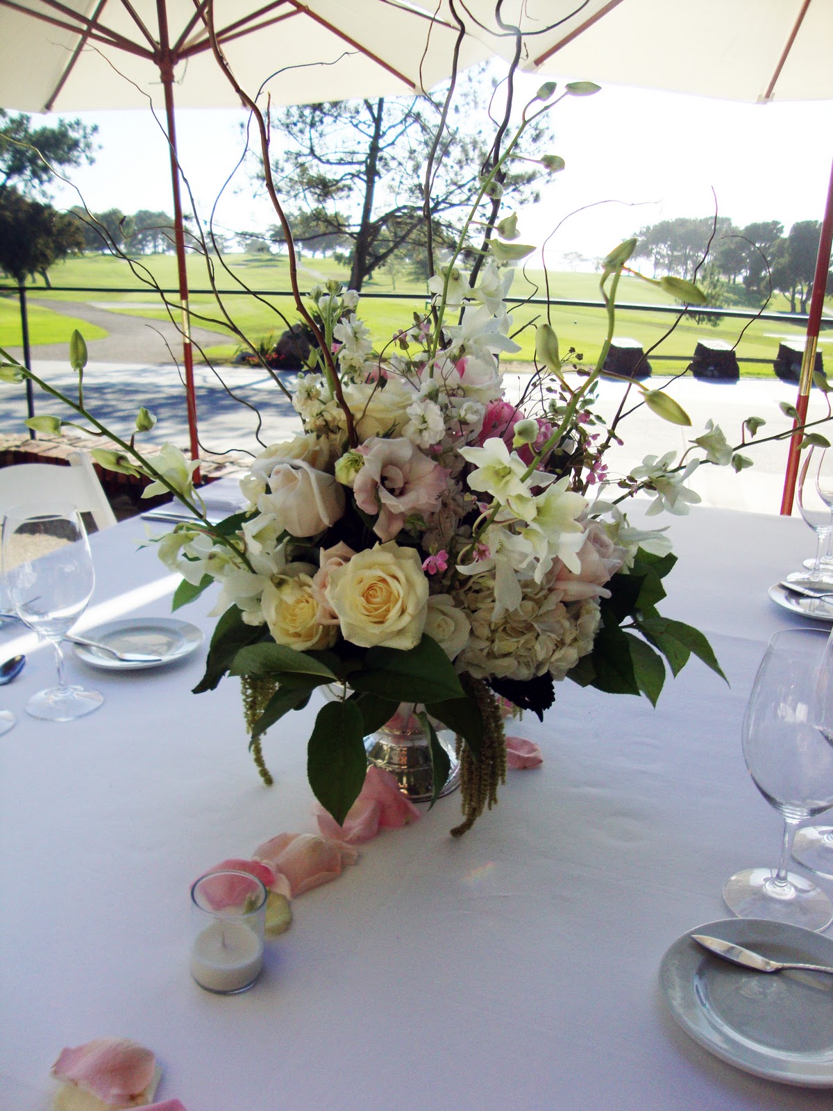 The Beginnings of Simply Kay