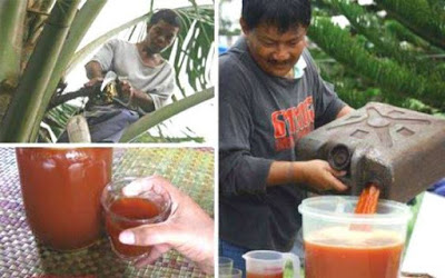 Incredible Imuregen Unity RoseBert: Untold Health Benefits of Coconut ...