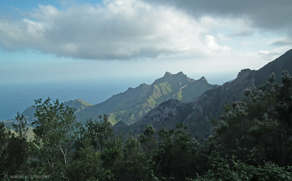 Nature photos from an Amateur Naturalist: Tenerife: Anaga Mountains ...