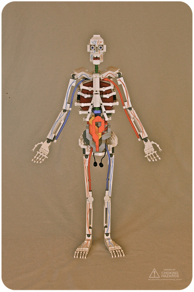 Médico Nerd: Esqueleto de LEGO