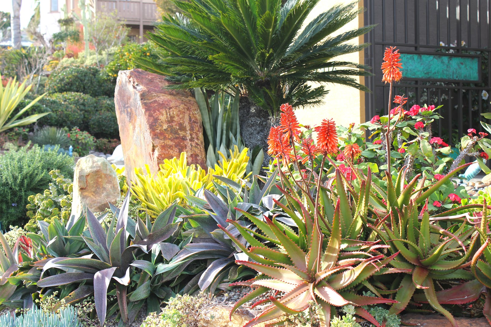 25+ Breathtaking Landscape Design With Bromeliads ~ Danielle Finch