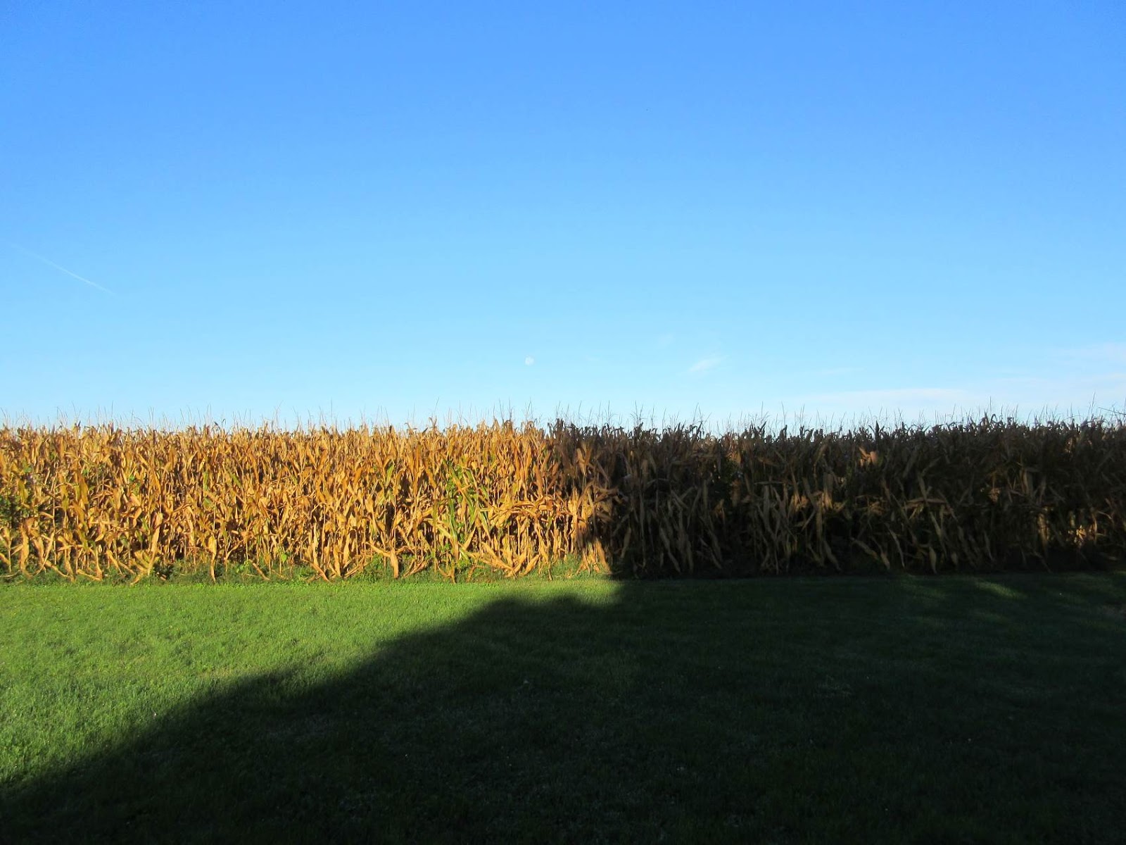 Three Things Very Dull Indeed