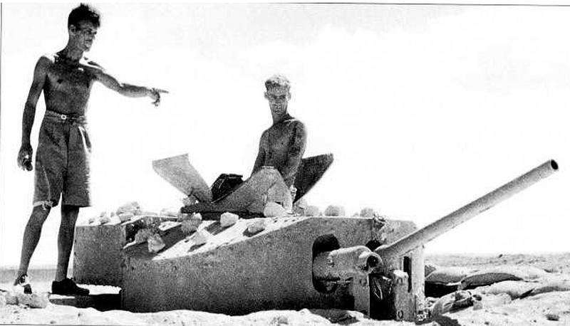 Vickers Mk II Medium Tank Camouflage (captured in Egypt) - - The Airfix ...