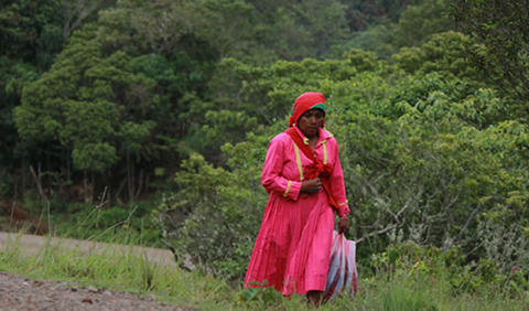 Arte y Cultura | Los Lencas en Honduras