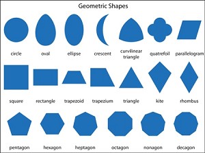 Vocabulary : Parts of Body and Shapes | E-Blog