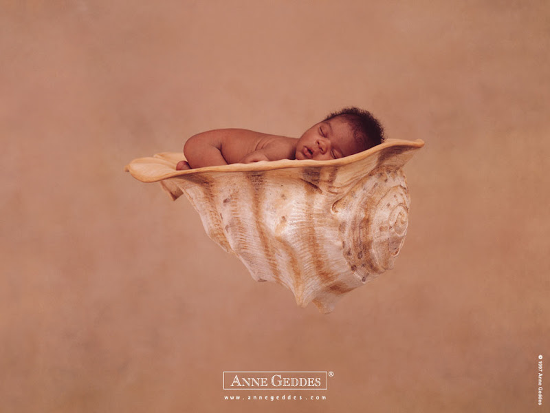Anne Geddes Babies Images. - Oh My Baby!