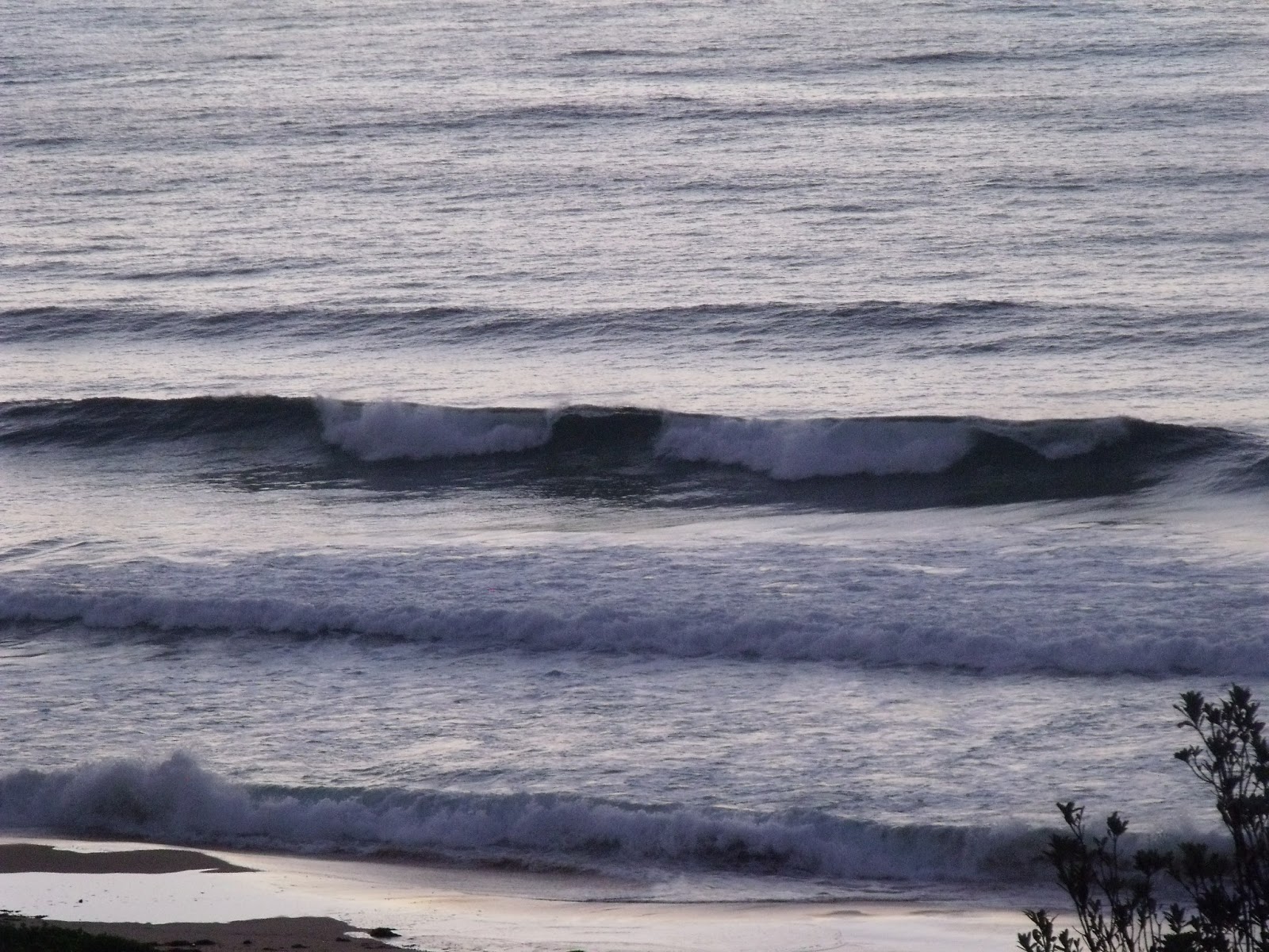 Shelly Beach Surf Report