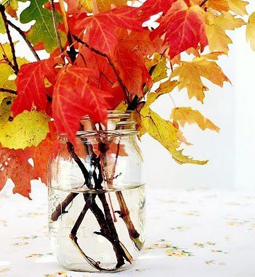 Erin's Paper Crafts: Happy Fall Y'all~