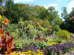 Donde estudiar: Qué estudia la Botánica