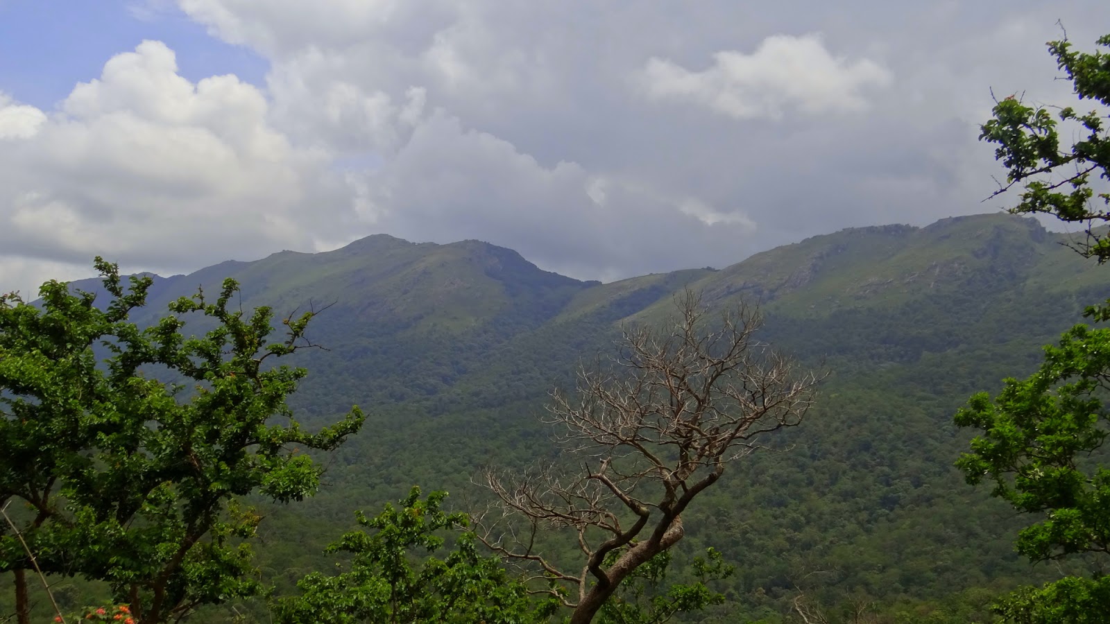 Sathyamangalam Tiger Reserve and Germalam Trek