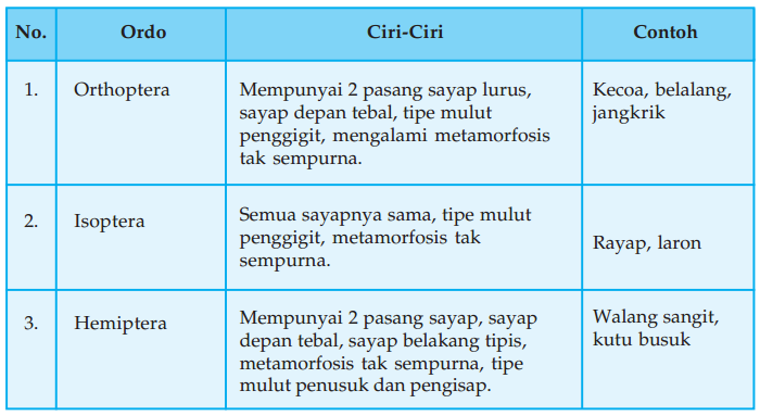 Ciri - Ciri dan Contoh Ordo Insekta - Semua Ada