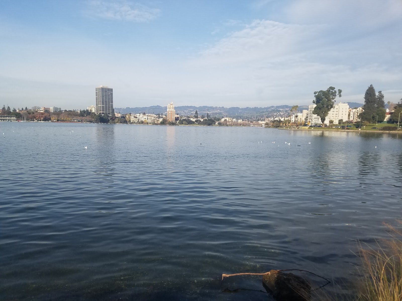 Adventures in Weseland: Walking Oakland's Lake Merritt