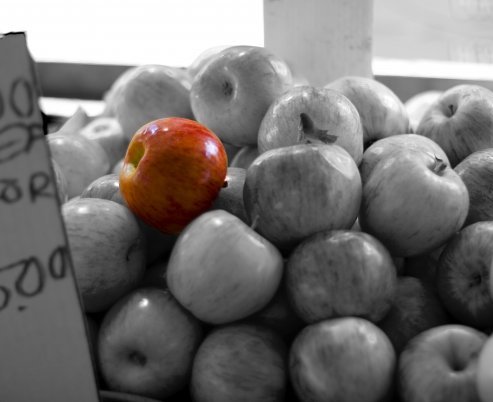 Nina's Bookie Blog: The Giver (Lois Lowry)