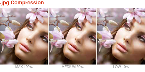 JPEG vs BMP ~ Venkat's Blog