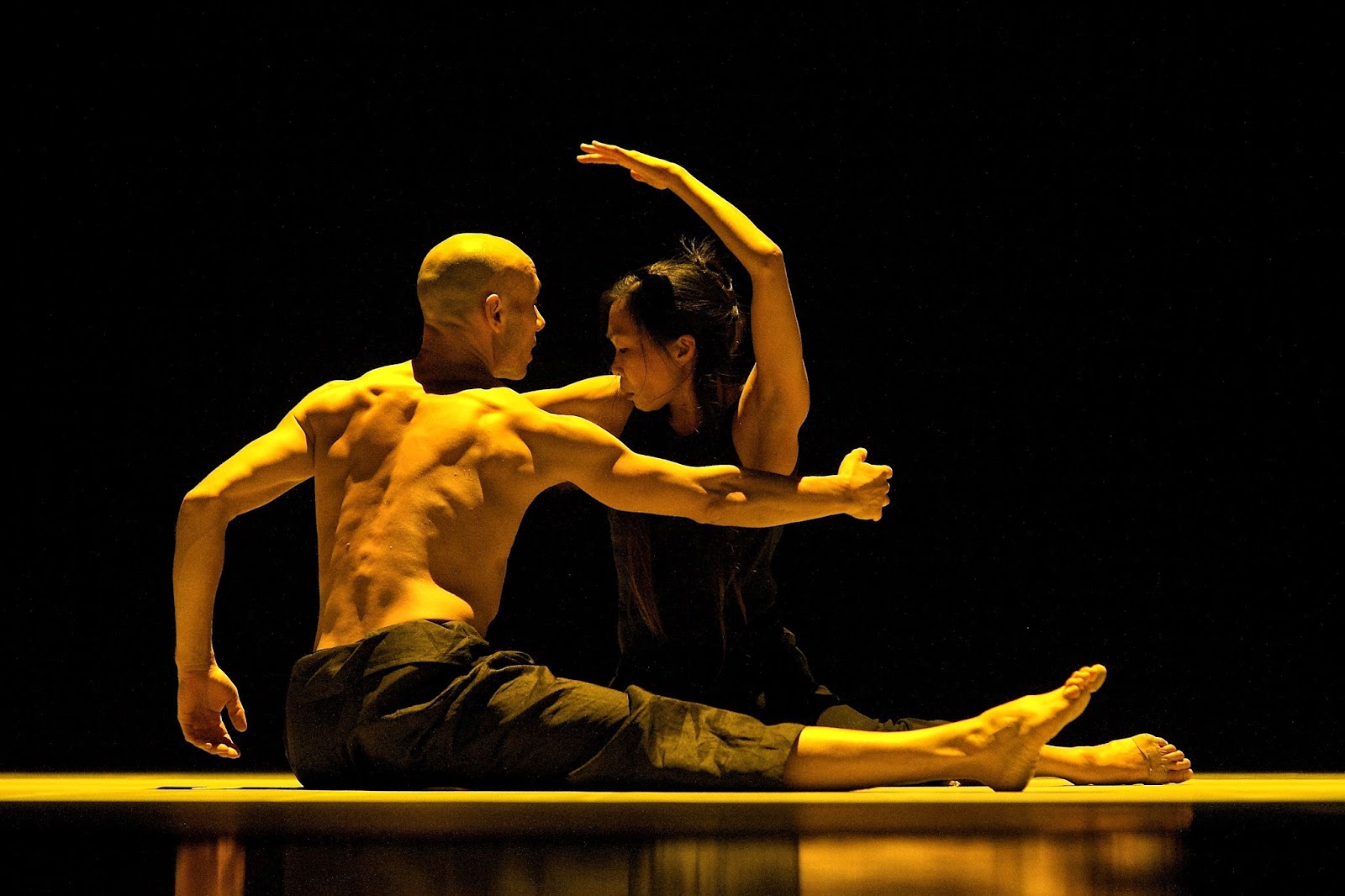 Critics At Large : Harmony in Motion: Contemporary Dance in Toronto