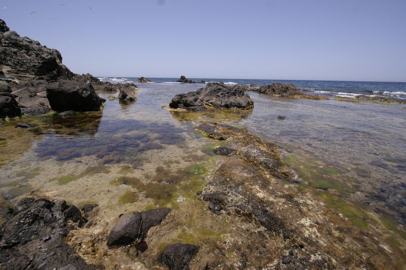 El Nieto del Espartero: Isla de Alboran.-Patrimonio Natural.