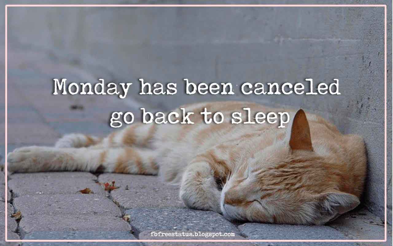 Happy & Funny Monday Quotes to Make You Smile