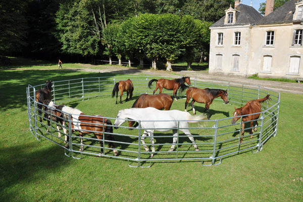 FERME DE ANIMALE: DOTARI FERME