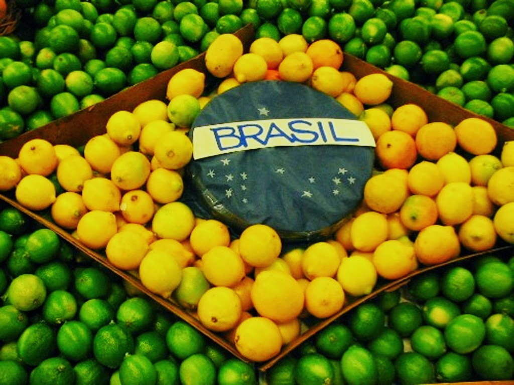 Frade Online: Qual a importância das frutas nativas brasileiras e ...