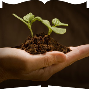 Wisdom Pearls: The Emperor's Seed