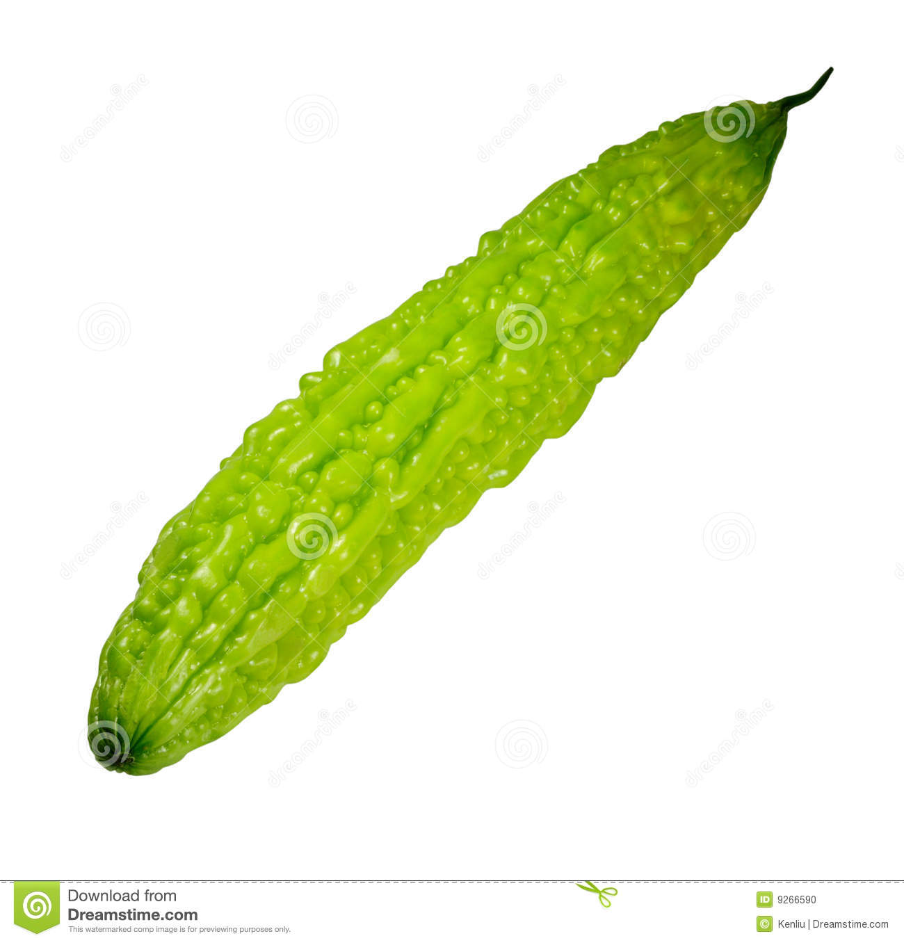 ampalaya drawing - philippin news collections