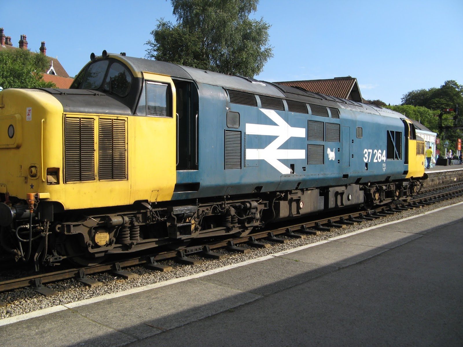 Steam Memories: Class 37 Diesel electric locomotives