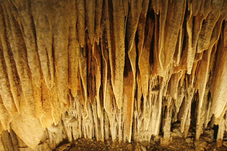 48 Stunning PHOTOS of Jeita Grotto, Magnificent Underground Caves in ...