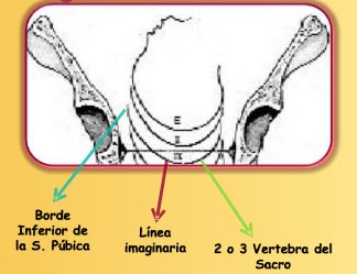 Inducción y Tarea 1 | "Obstetricia I"
