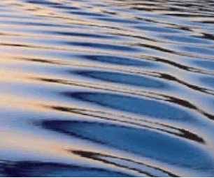 Discover Physiks: 04 Waves & Wavelike motion