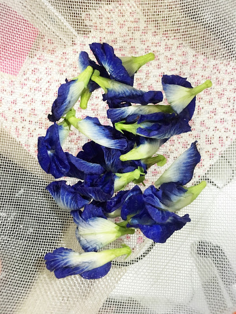 Blue Pea Flower Yeast Water Bread | Projects by Jane