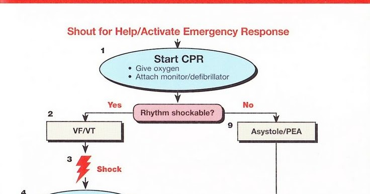 Medical and Health Science: Cardiac arrest