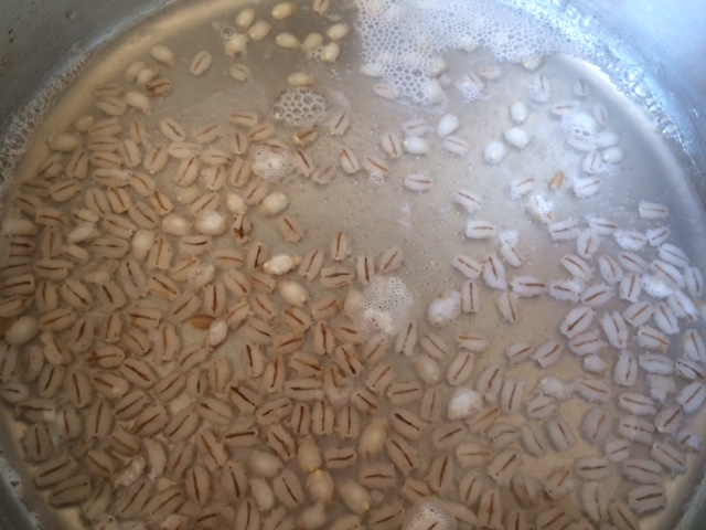 Love Macrobiotics Love Life! : Lemon Barley Water. The Summer Drink