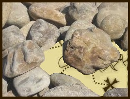 Our Amazing World: Turning Over Rocks