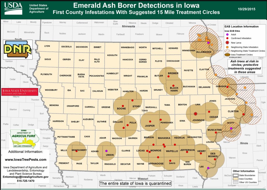 The Natural History of Grinnell College: What's Killing Iowa's Trees ...