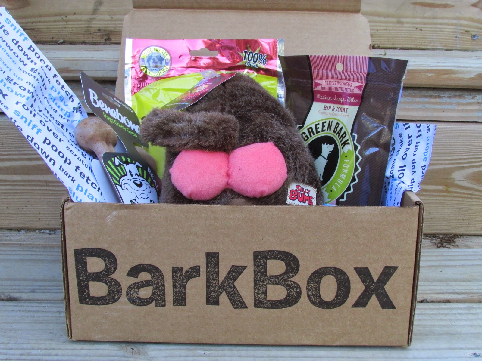 My Rotten Dogs: June 2014 BarkBox Review