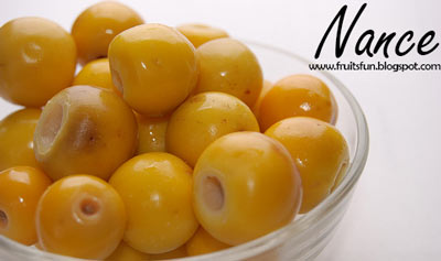 Ever Fresh Fruits: Nance - Fruit name starting with "N"