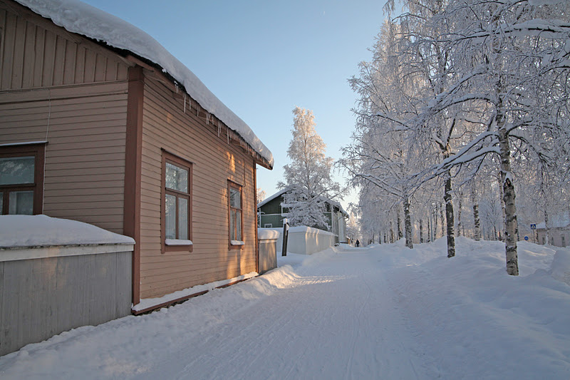 Nurmes ja Puu-Nurmes