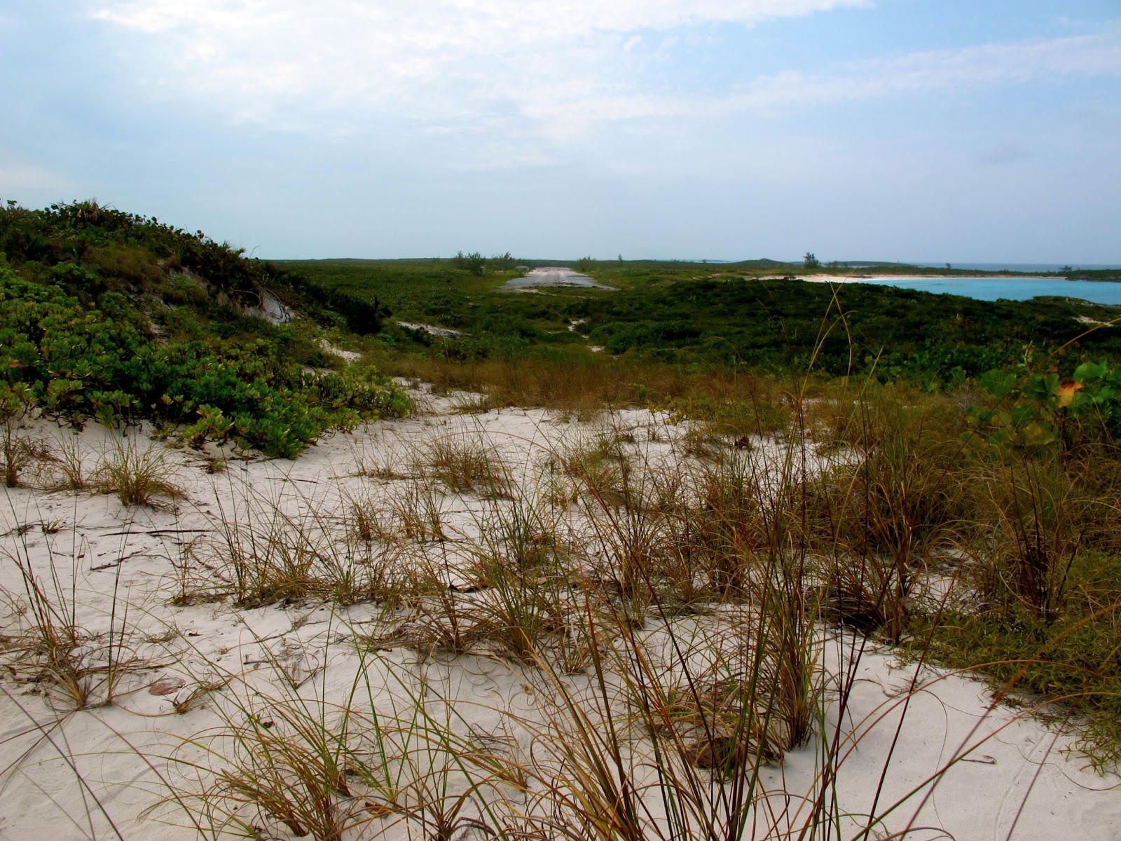 Windtraveler: Hiking in the Bahamas