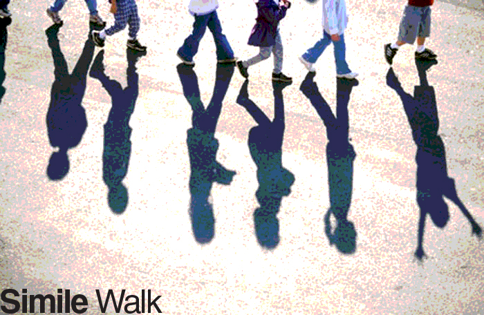 E is for Explore!: Simile Walk