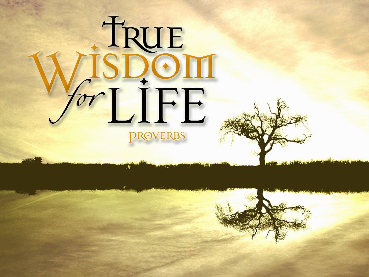 Barnabas the Blogger: WISDOM 101 - Chapter Eleven (V)