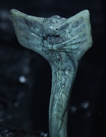 It Looks Human: Prometheus (2012) Part I - "It's What I Choose to Believe"