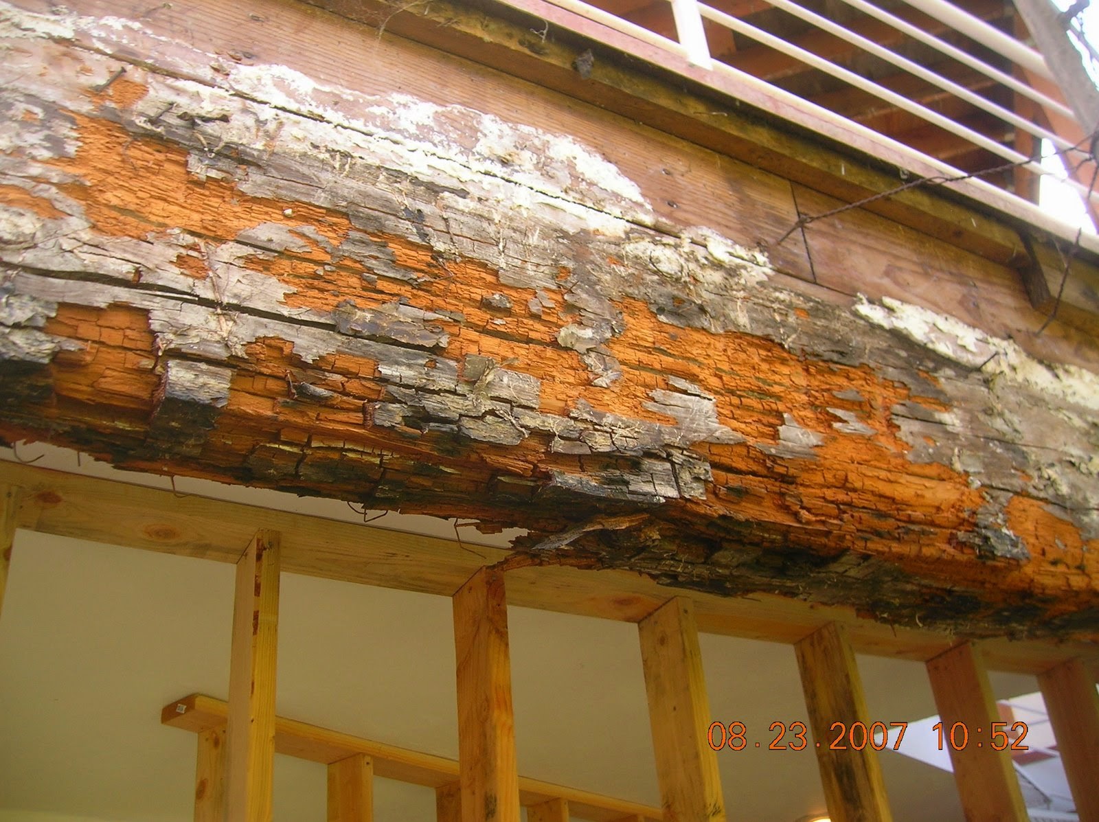 MEC&F Expert Engineers : CONSTRUCTION DEFECTS: ASSESSMENT ...