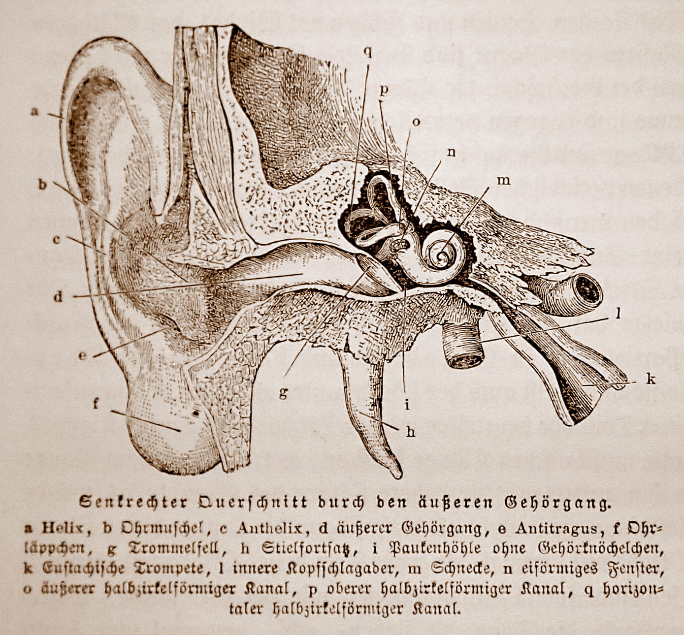 ΕΛΛΗΝΙΚΗ ΕΦΙΠΠΗ ΤΟΞΟΒΟΛΙΑ: LABYRINTH
